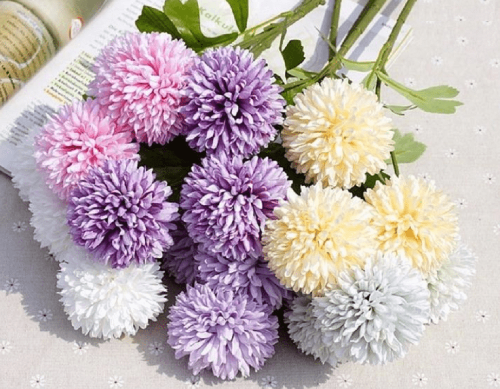 Pom poms | Alton Flowers