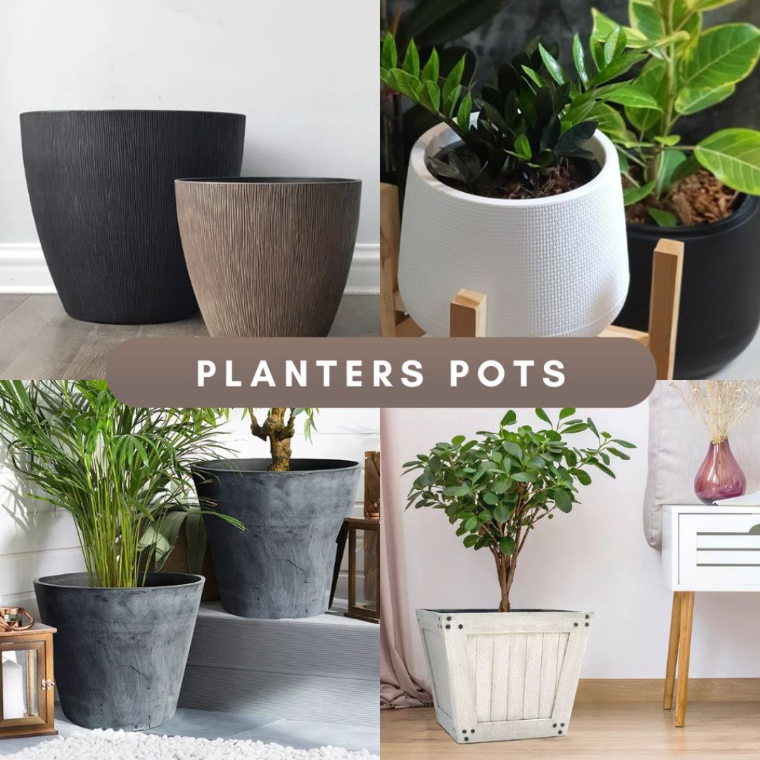 Planters | Alton Flowers