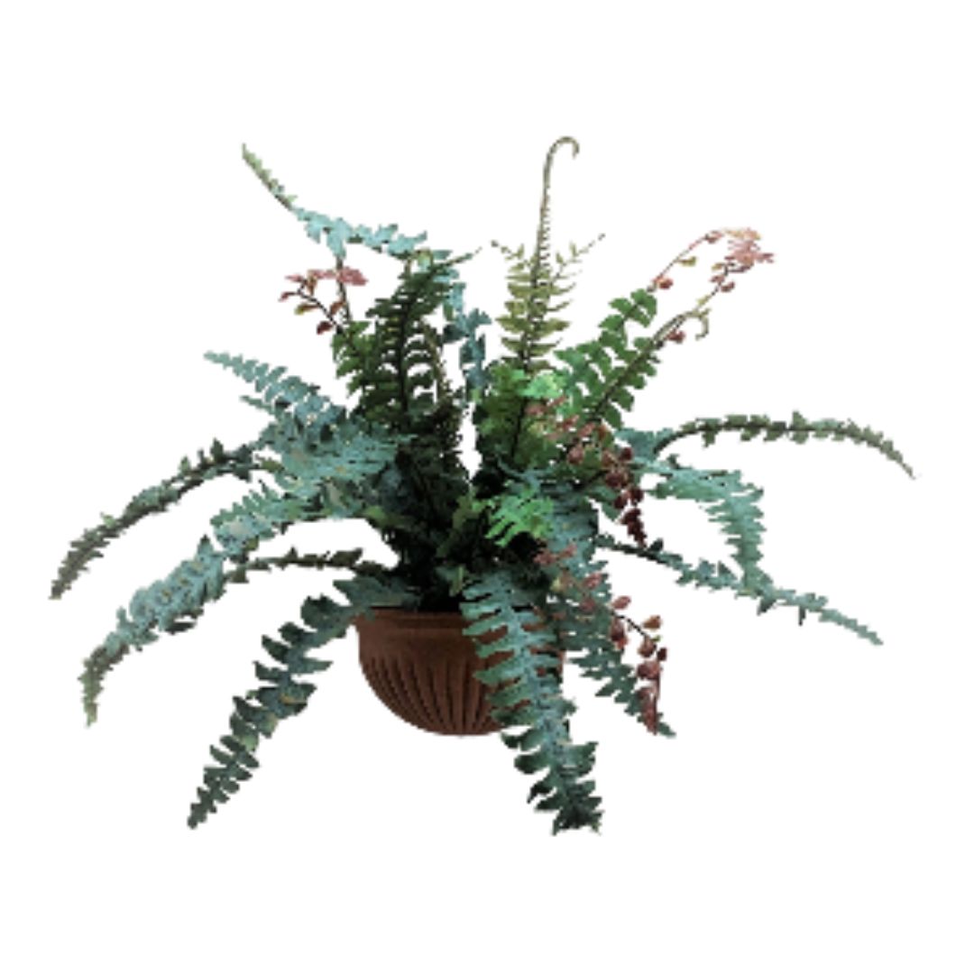 Plant artificial Conifer Ferns Aplant205 | Alton Flowers